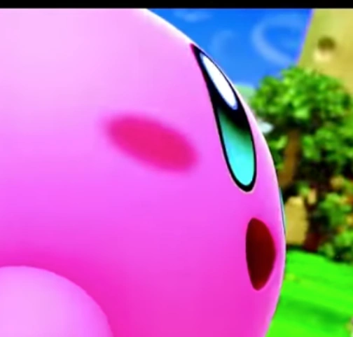 Random Kirby fun fact of the day, #1 | Fandom