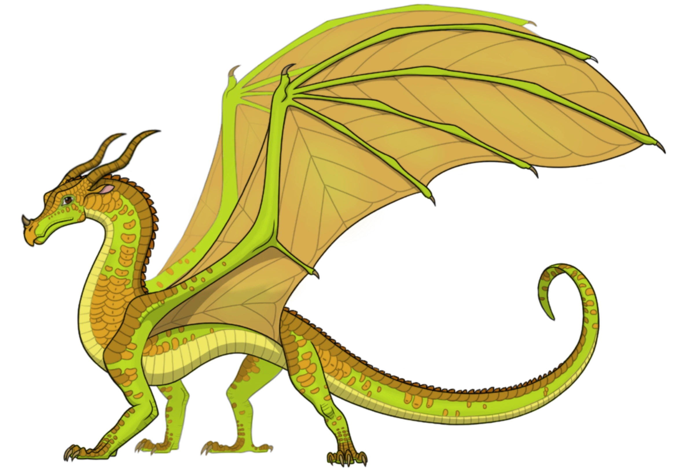 Updating my Freedom ref | Fandom