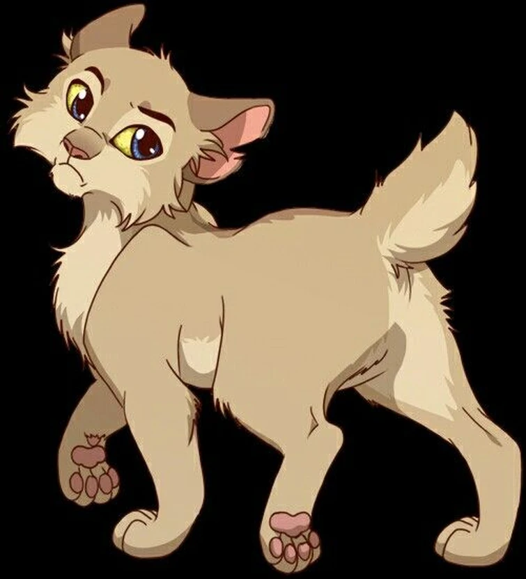 The new cats in The Sight (and the ones that changed ranks) | Fandom