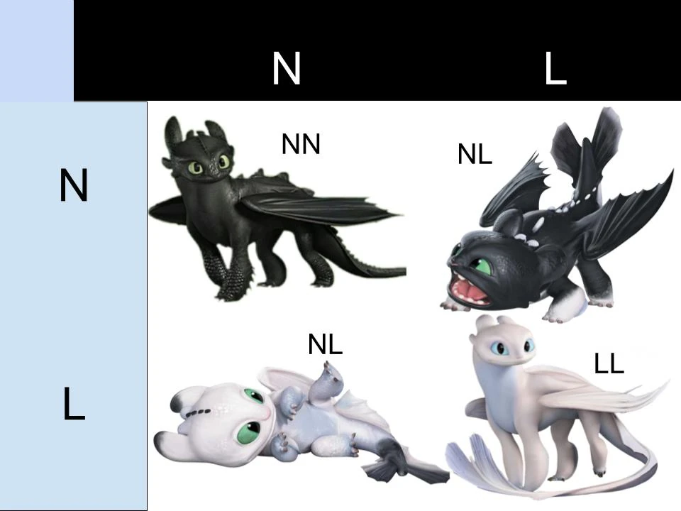 How Night Furies are NOT going extinct after Toothless! | Fandom