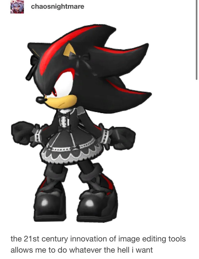 i just looked up “shadow the hedgehog wearing a dress” | Fandom