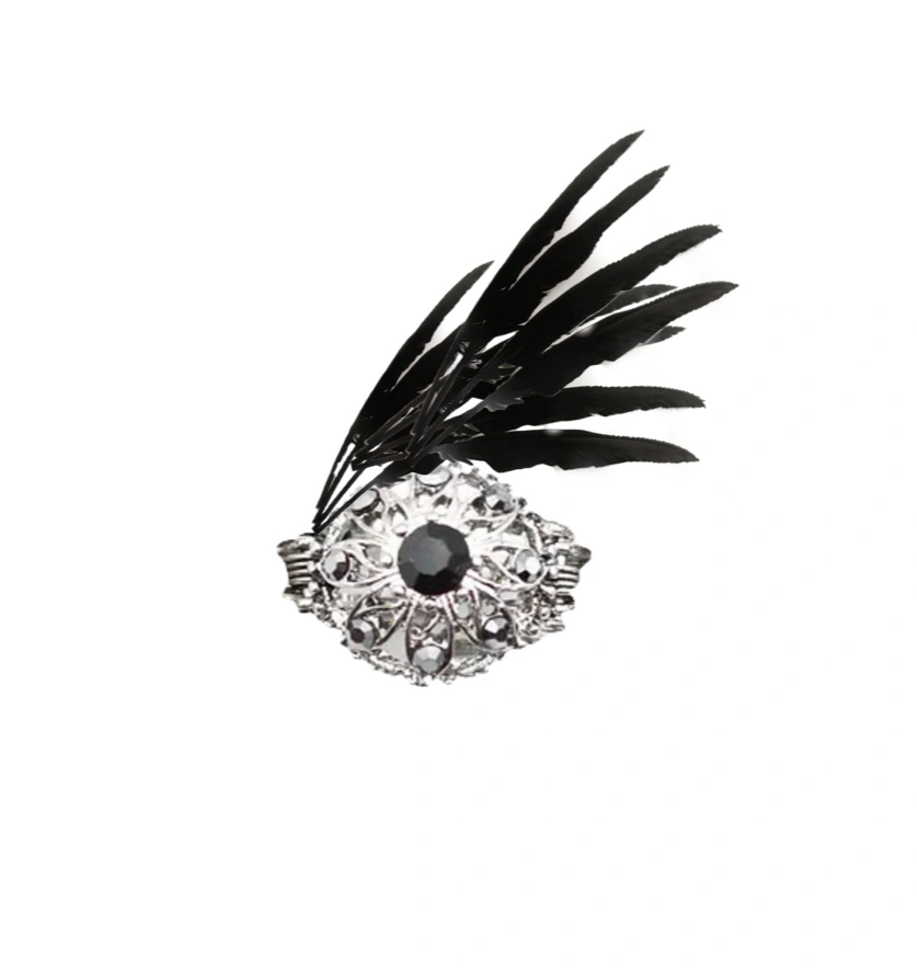 The crow miracules | Fandom