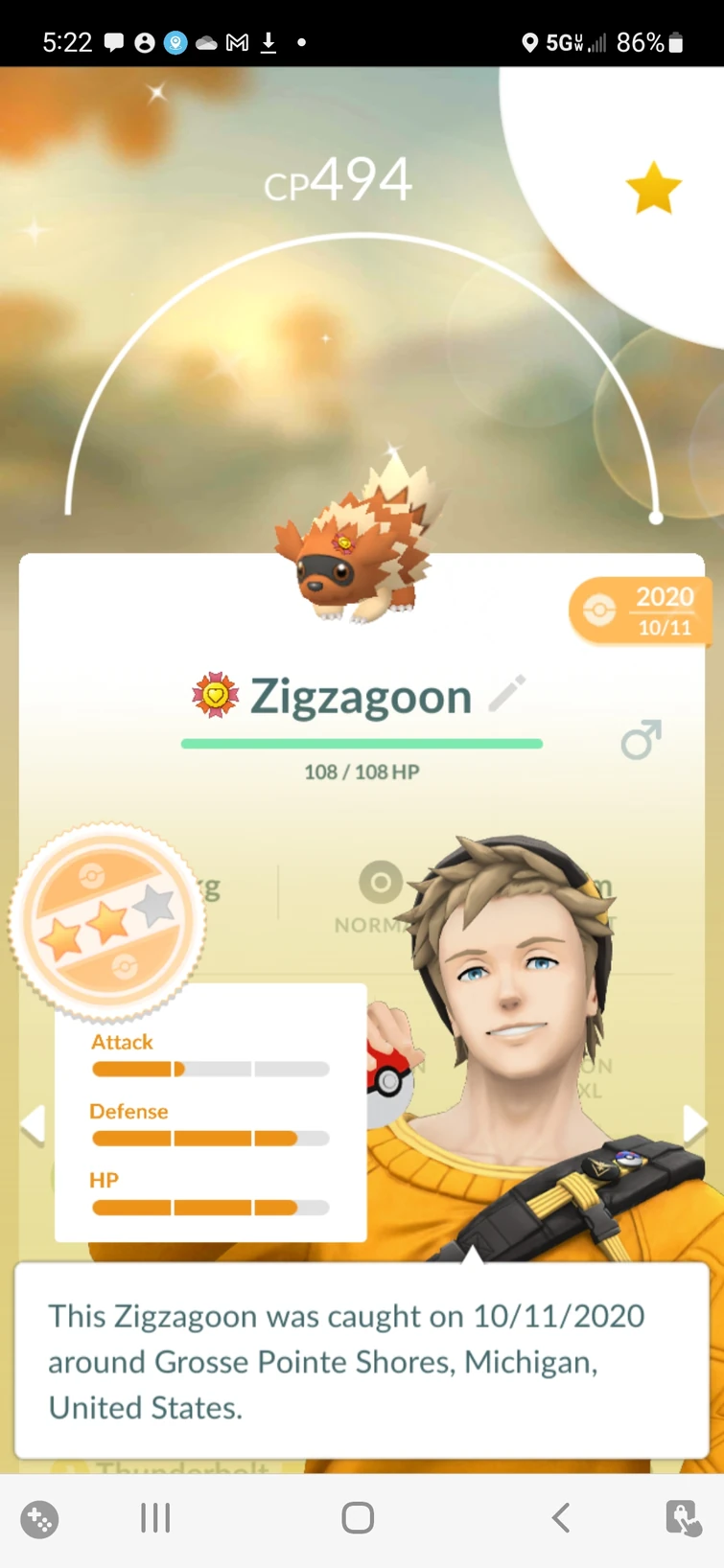 Over two years later, I finally got a second Shiny Hoennian Zigzagoon to evolve to Shiny Linoone ...