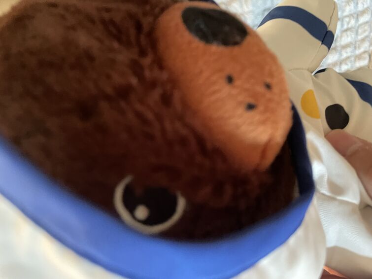 Discuss Everything About Ollie S Orbs Wiki Fandom