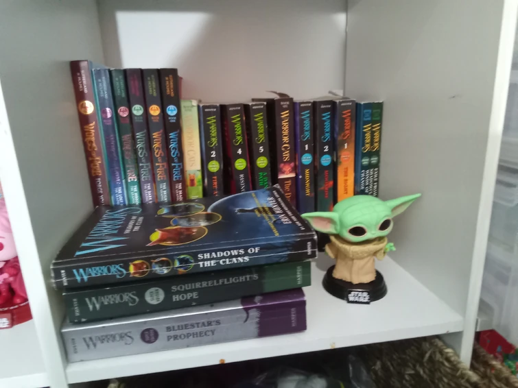 My wof book collection + my warrior cats book collection | Fandom