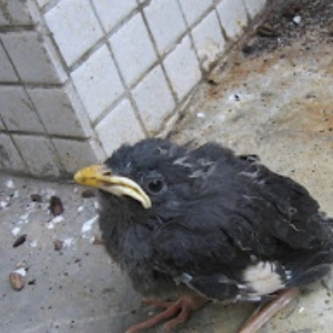 Ima sleep now | Fandom