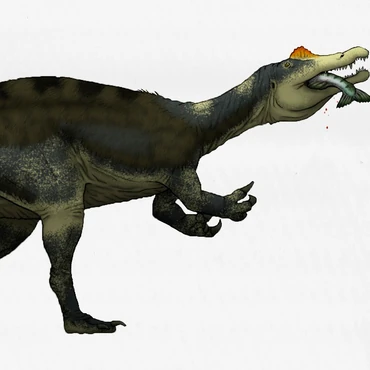 Discuss Everything About Dinopedia | Fandom