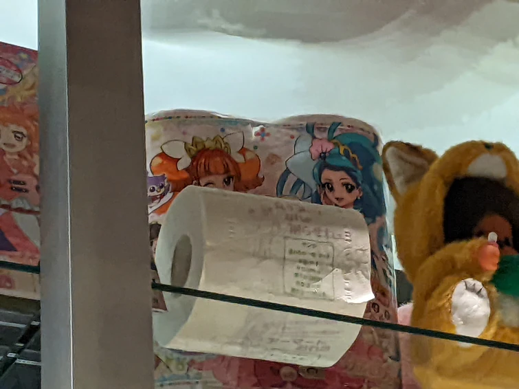 I found the legendary Go! Princess toilet papers! | Fandom