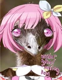 Uhhh | Fandom