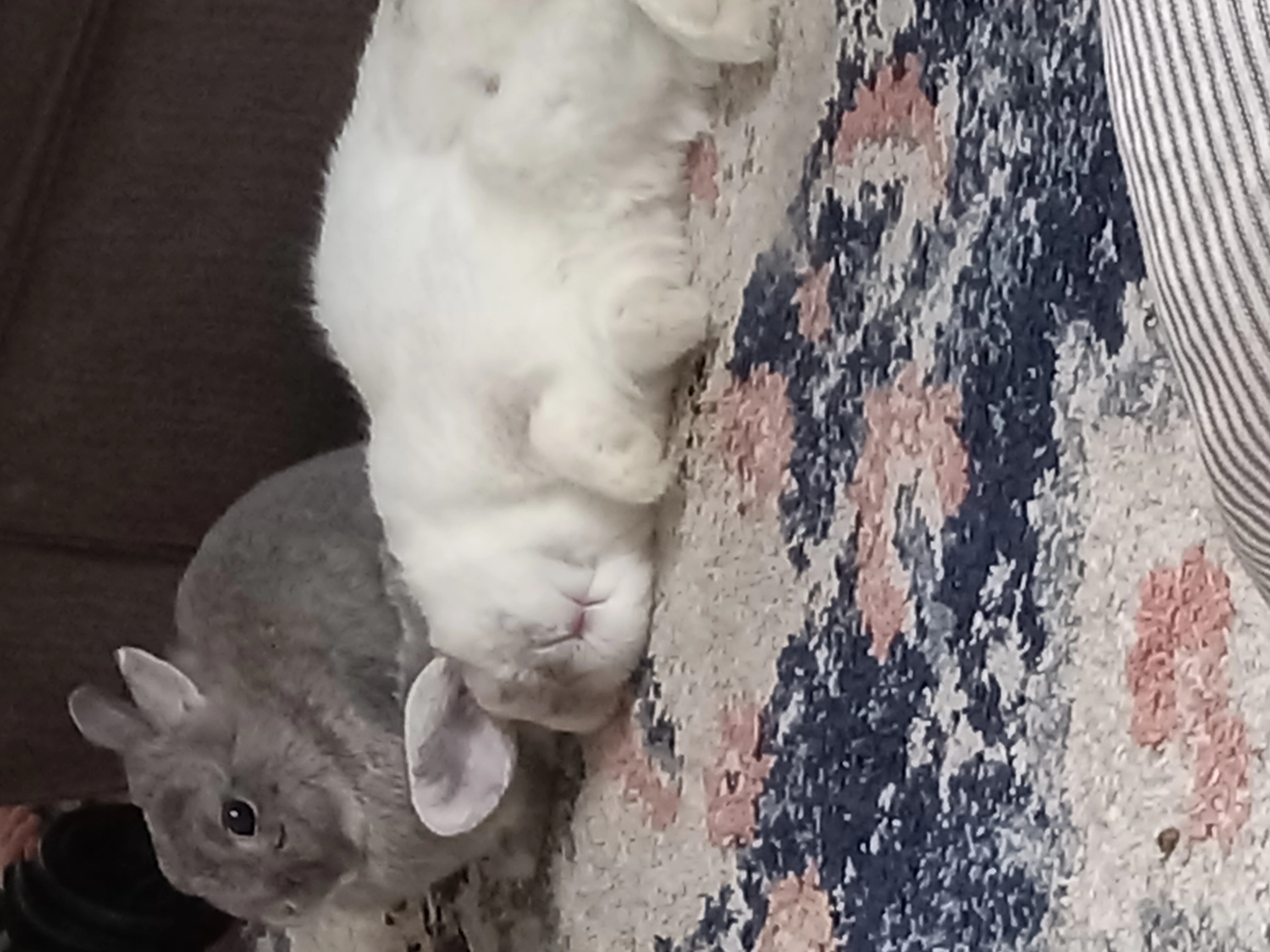 Wait a minute | Fandom