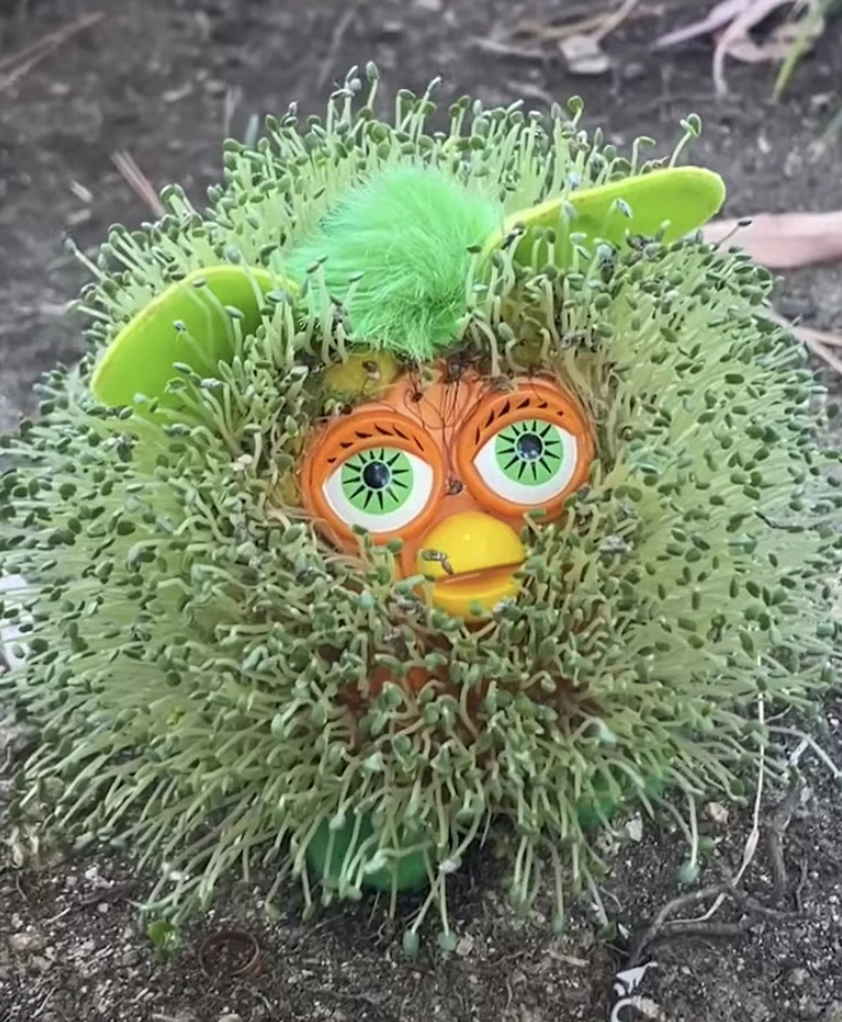 he speaks for the trees | Fandom