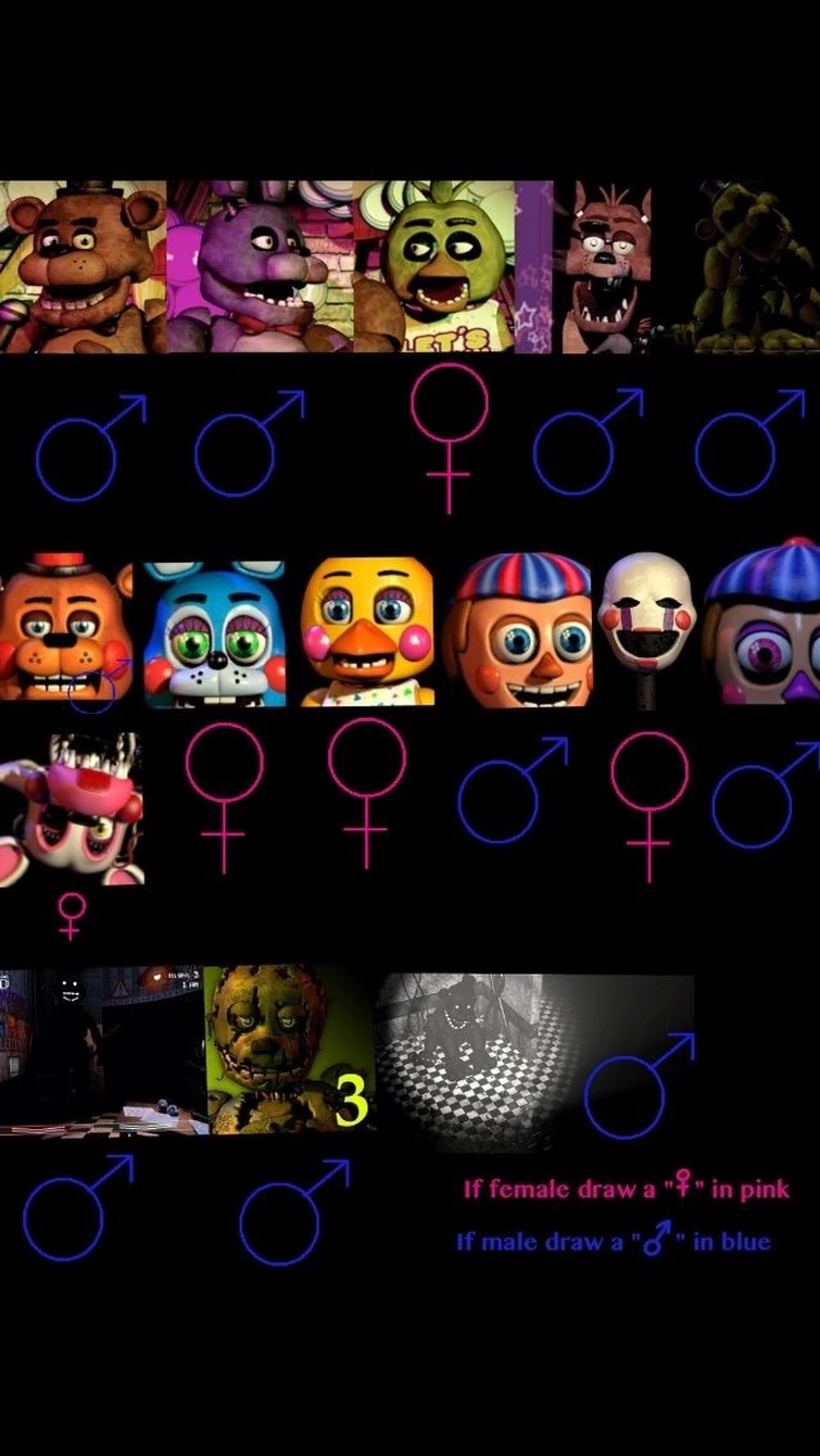 Animatronics' Gender | Fandom