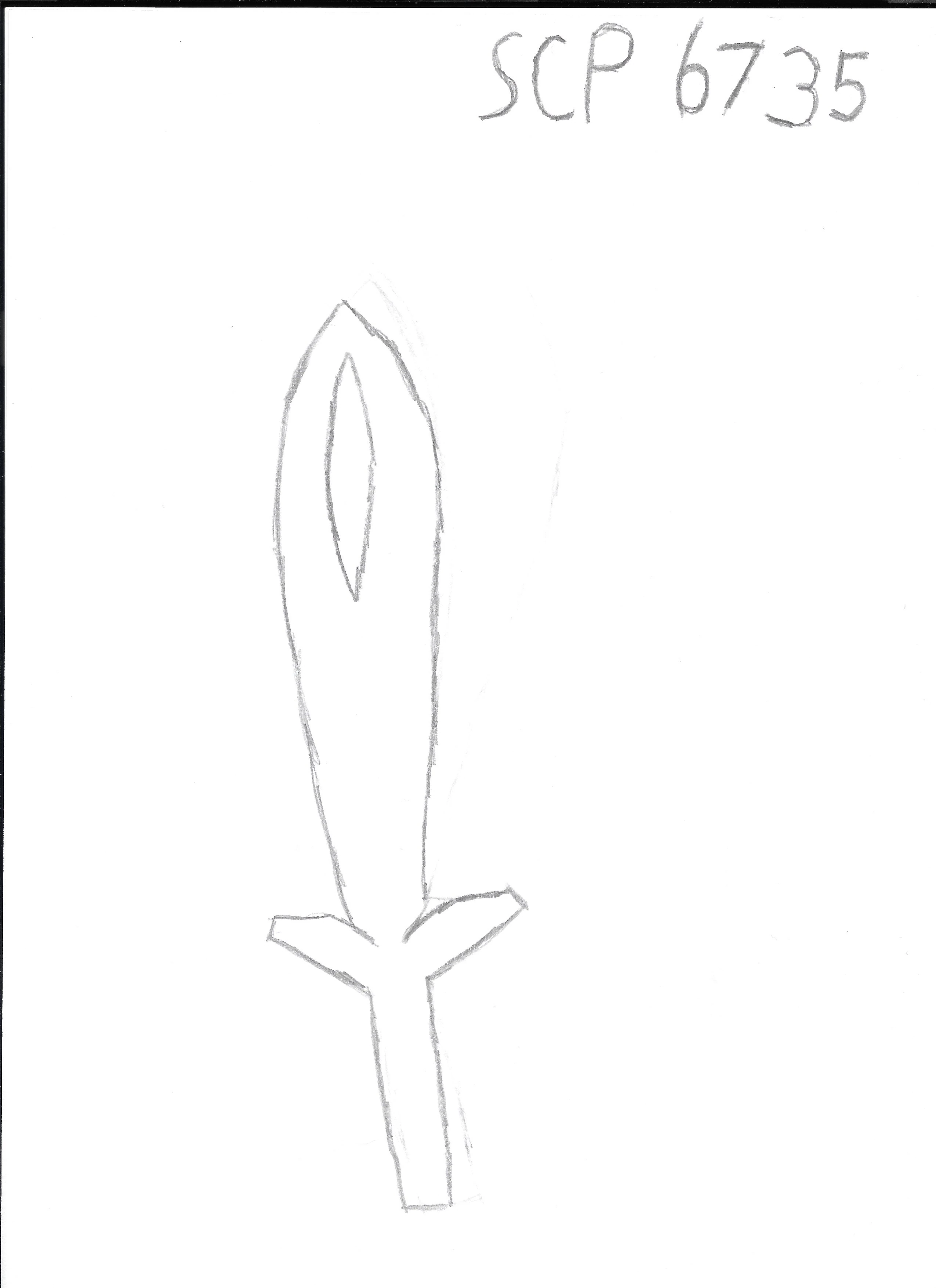 scp 6735 | Fandom