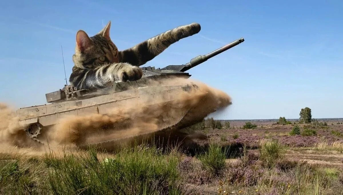CAT PANZER this day | Fandom
