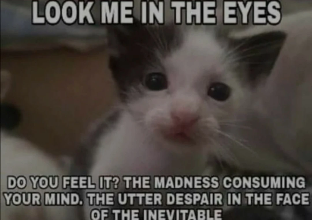 Look at me | Fandom