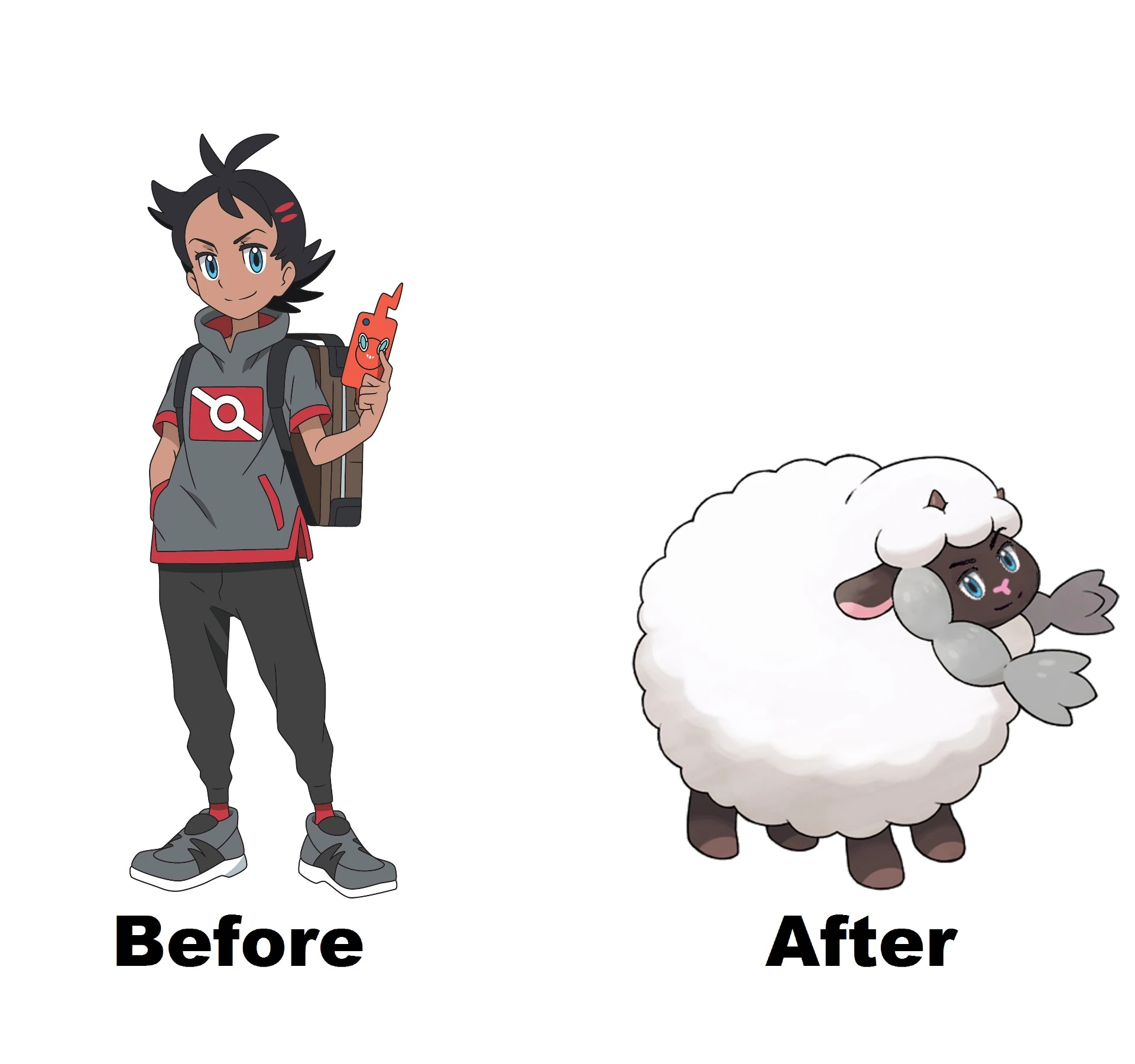 Goh was turned into a Wooloo | Fandom