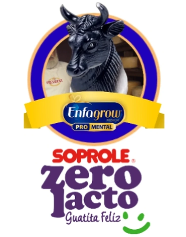 Natural Wealth Chile Logo Vector Background | Fandom