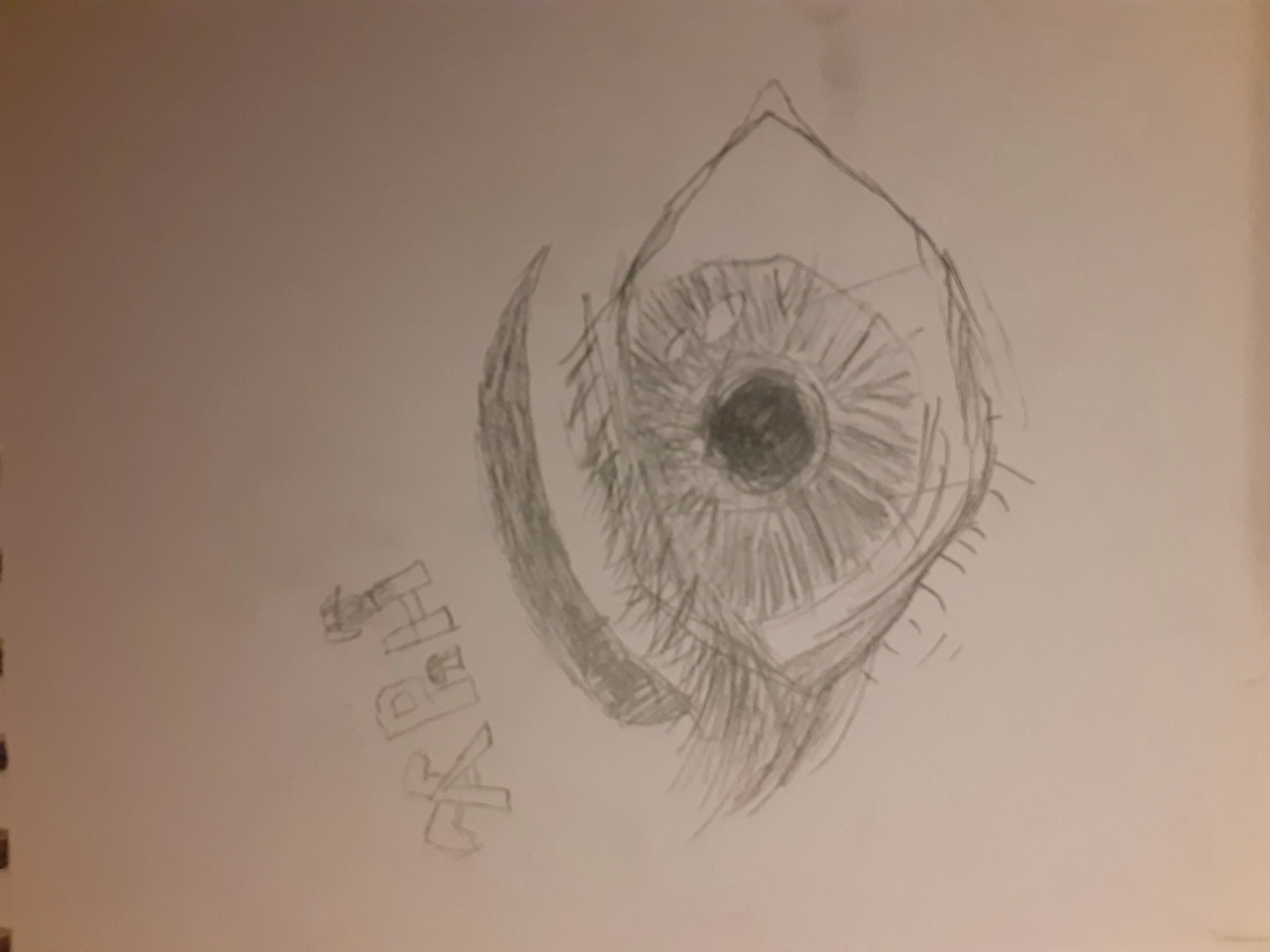 Ig a doodle | Fandom