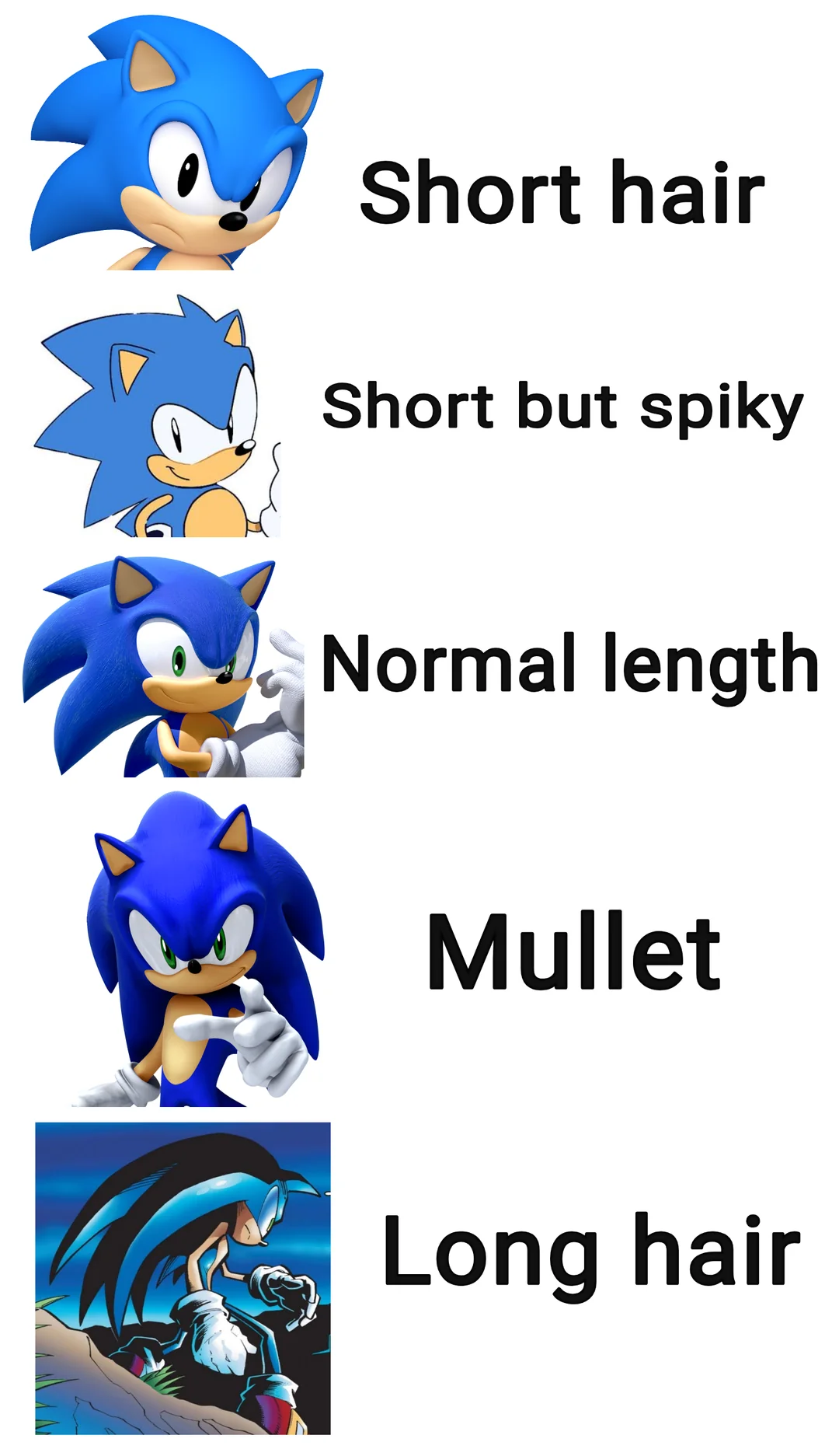 which Sonic hair do you prefer??? | Fandom