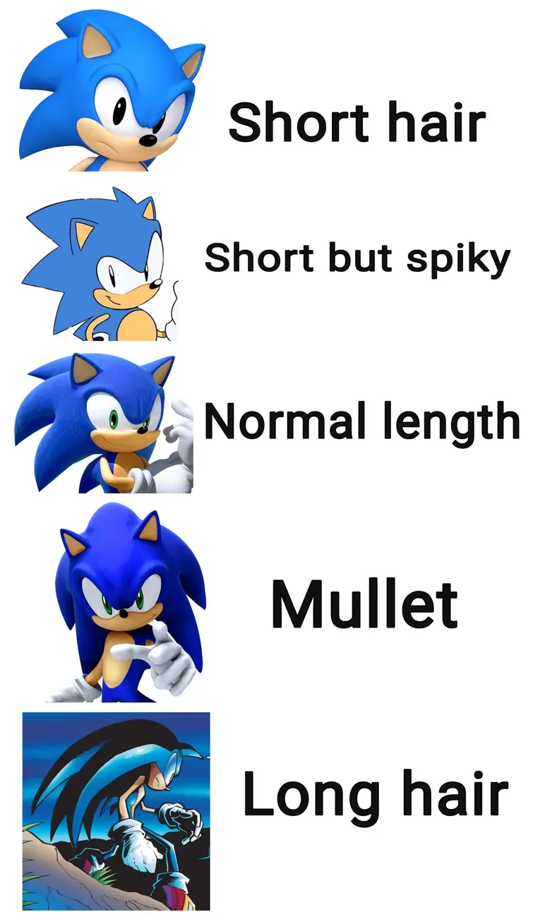 which Sonic hair do you prefer??? | Fandom