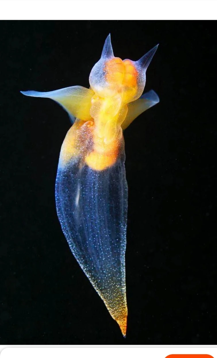 Cli one irl | Fandom