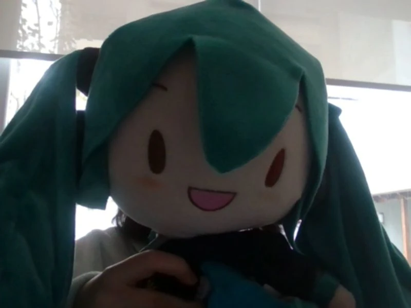 How much pjsk merch do you own? | Fandom