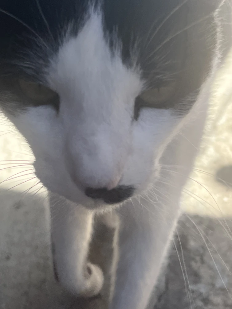 charlie image dump | Fandom