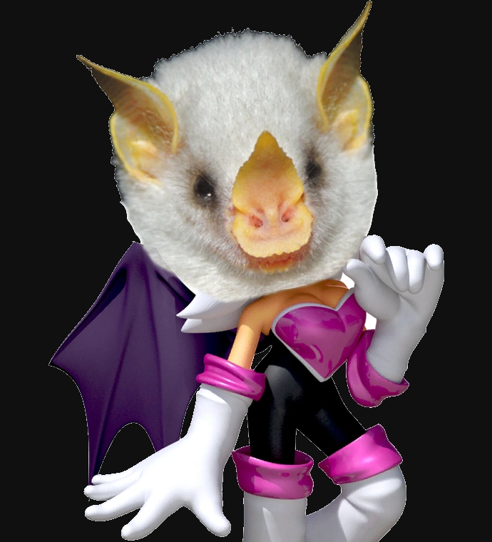 i made Rouge the bat more realistic | Fandom