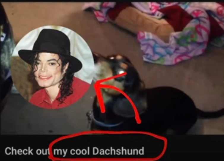 name soundalikes | Fandom