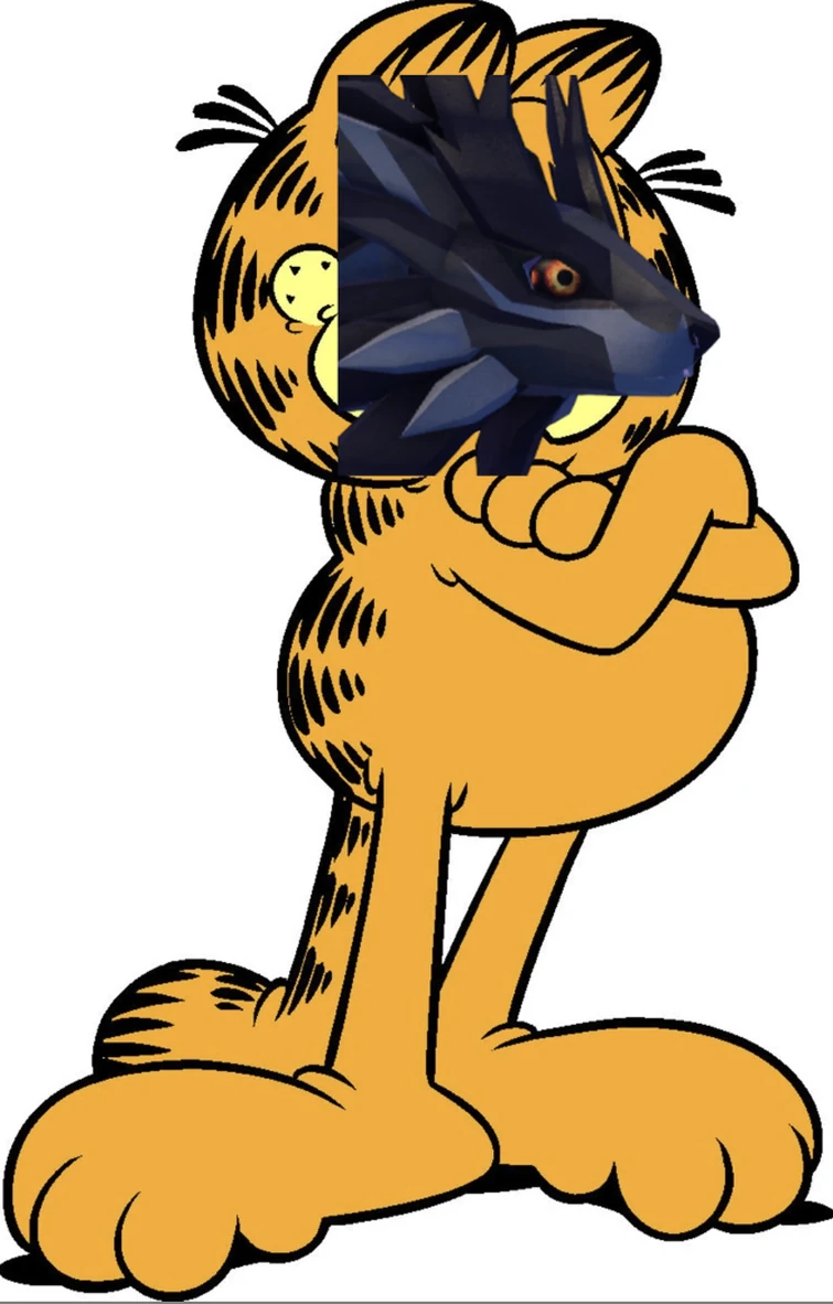 Meet Garfield the moixura 😱😱😱😱😱😱 | Fandom