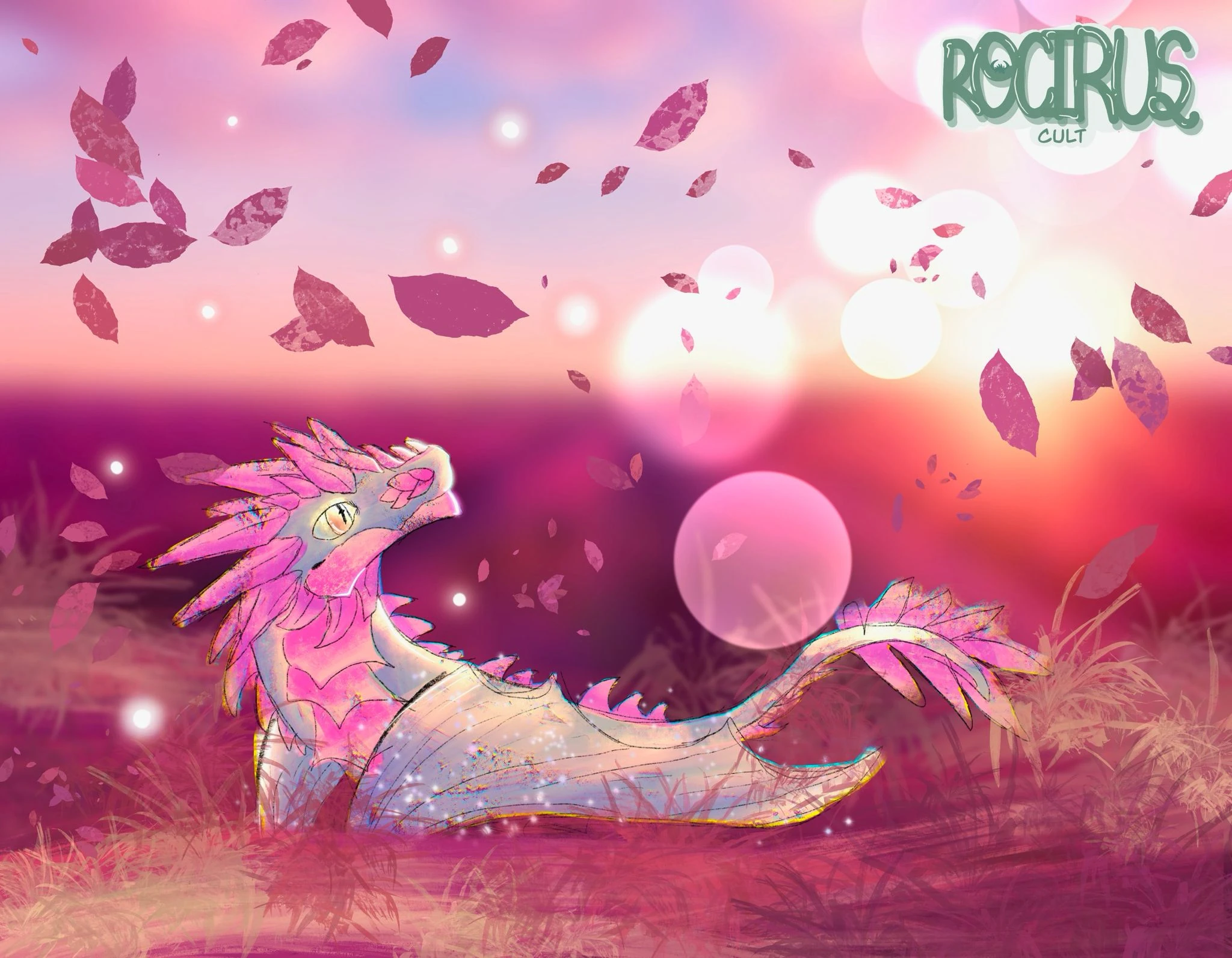 🎉Rocirus Cult!🎉(Registrations Open!) | Fandom