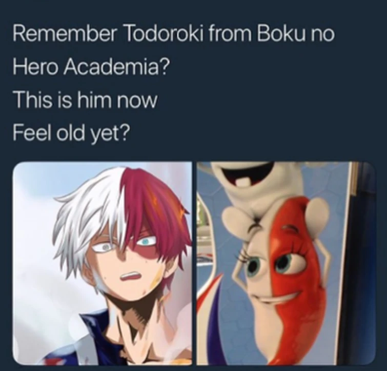 Todoroki's future | Fandom