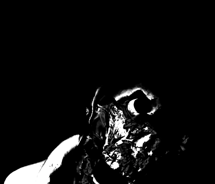 A fanmade phase for traumathon x | Fandom