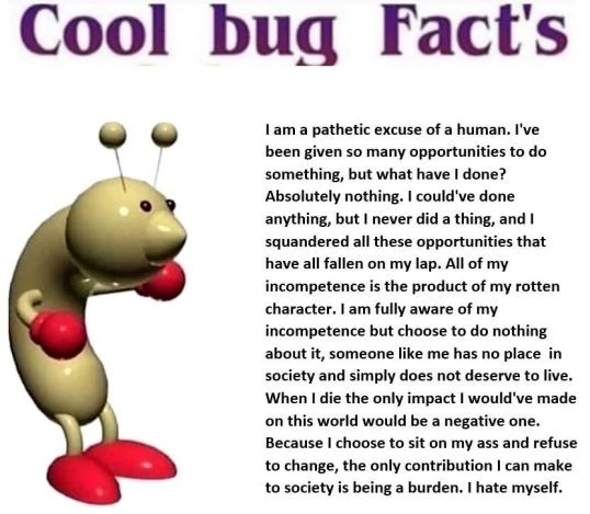 cool bug facts are the best | Fandom