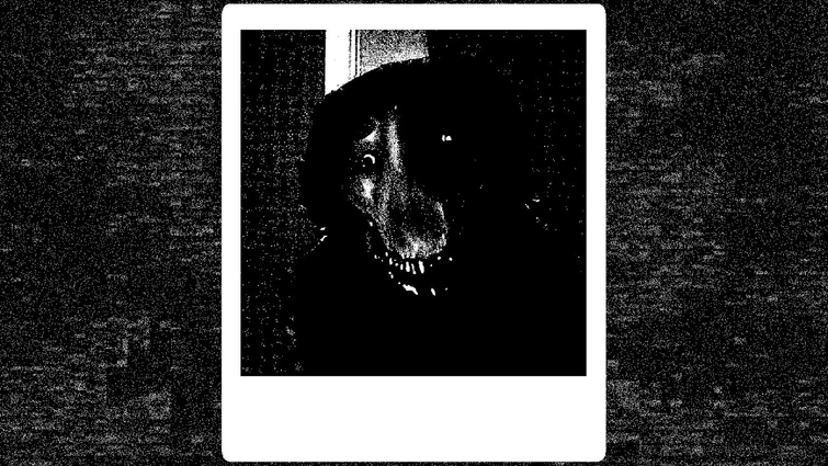 FNF vs Smile Dog concept | Fandom