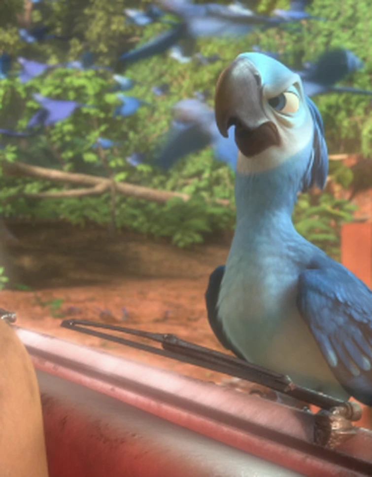 Discuss Everything About Rio Wiki | Fandom