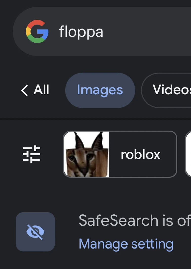 Floppa Needs A Glow Up | Fandom