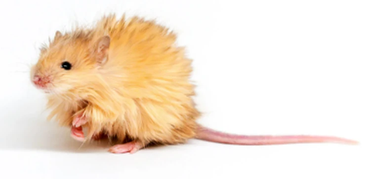 Hey guys look! | Fandom