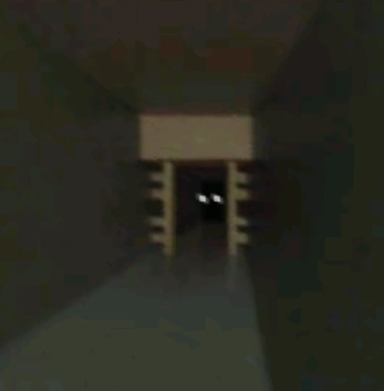 face reveal | Fandom