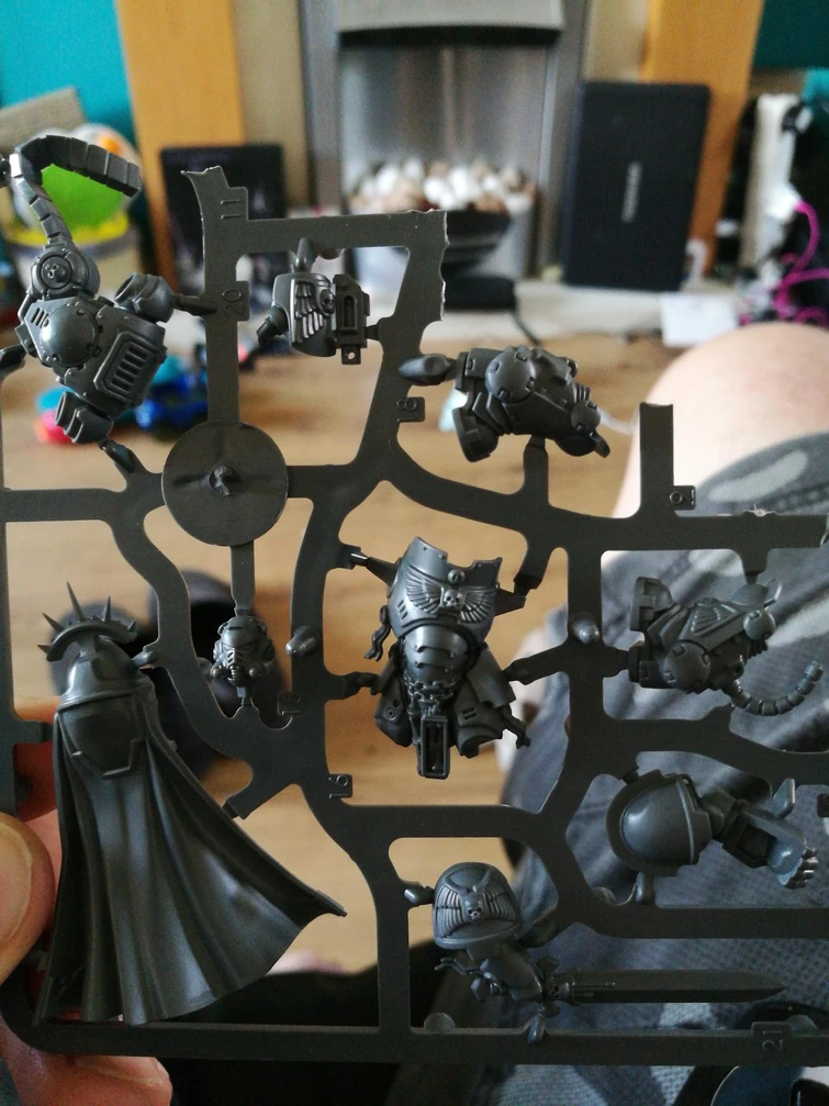 First primaris | Fandom