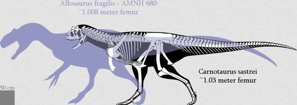 who would win?: allosouros or carnotouros? | Fandom