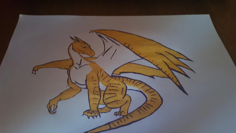Real life charizard drawing | Fandom