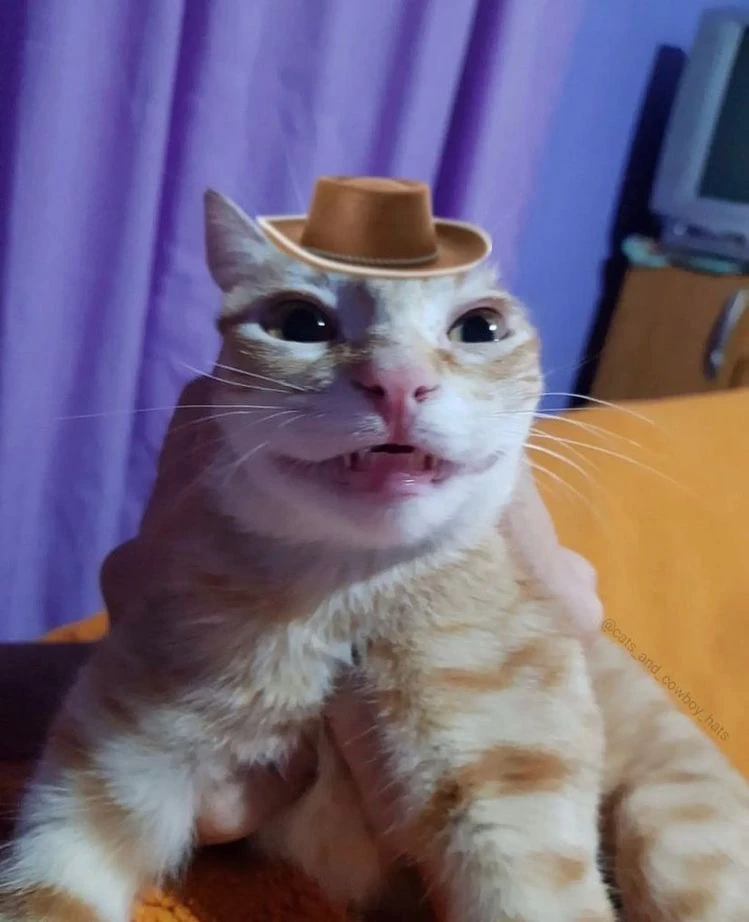 c o w b o y | Fandom