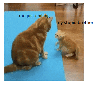 cant even chill | Fandom