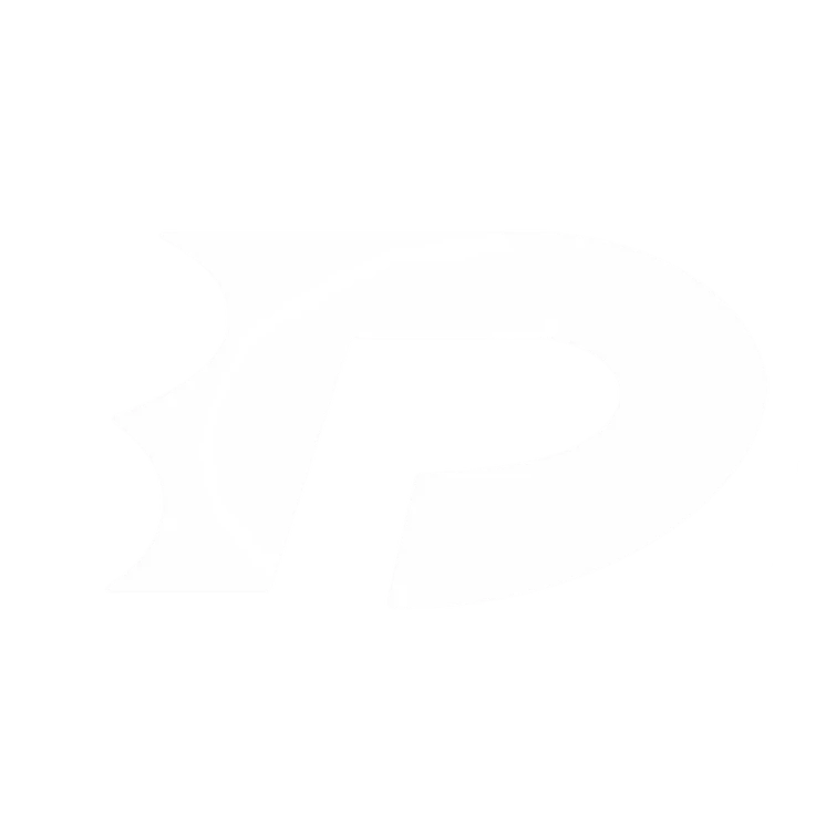 Danny Phantom Symbol | Fandom