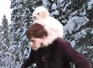 WIKI WAKE UP | Fandom