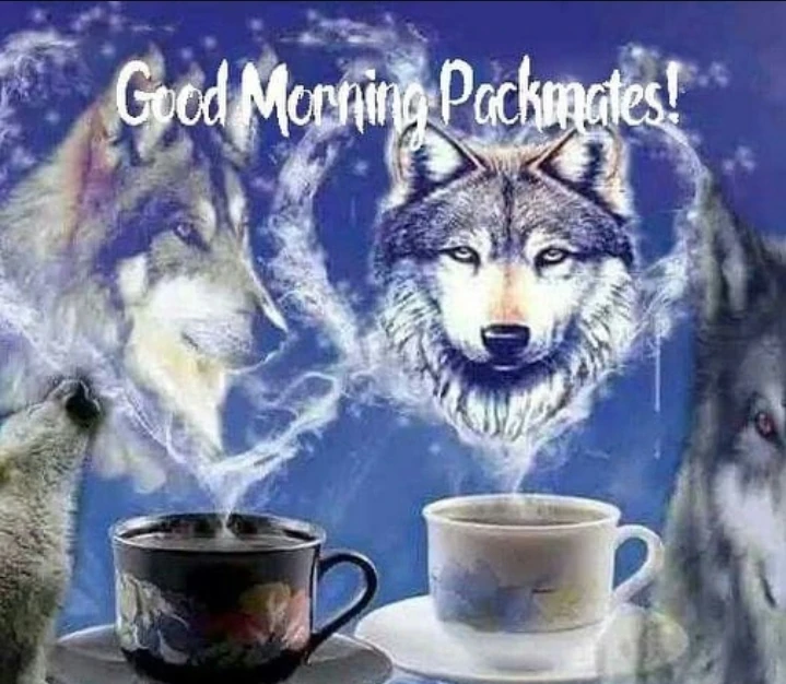 I AM. BACK. | Fandom