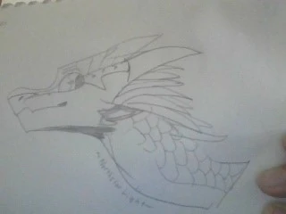 IceWing (First Time!) | Fandom