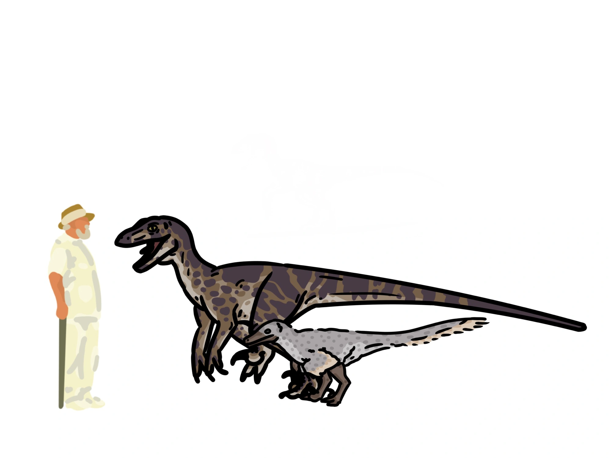 Jurassic Park 1993 velociraptor compared to real life one | Fandom