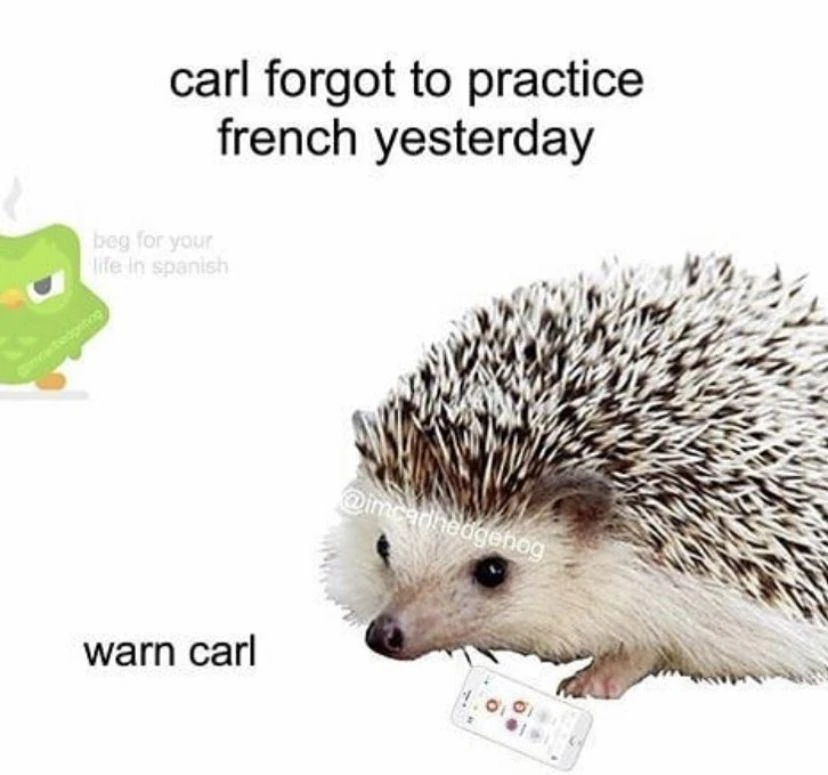 Co hatching CHeM Vulp!♡ | Fandom